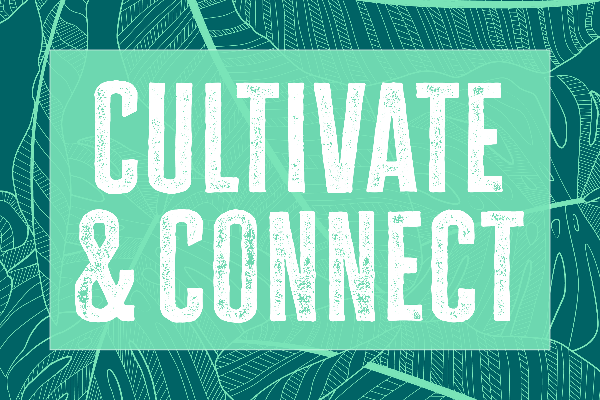 Cultivate & Connect - Permaculture Cairns